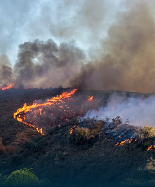 Redefining Climate Resilience with Cutting-Edge AI | AISIX Solutions